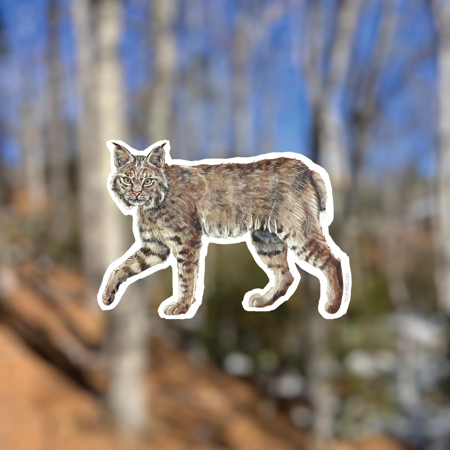 Bobcat Sticker - Etsy