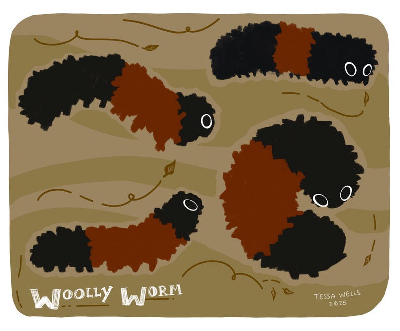 Woolly Worm Sticker Sheets - Etsy
