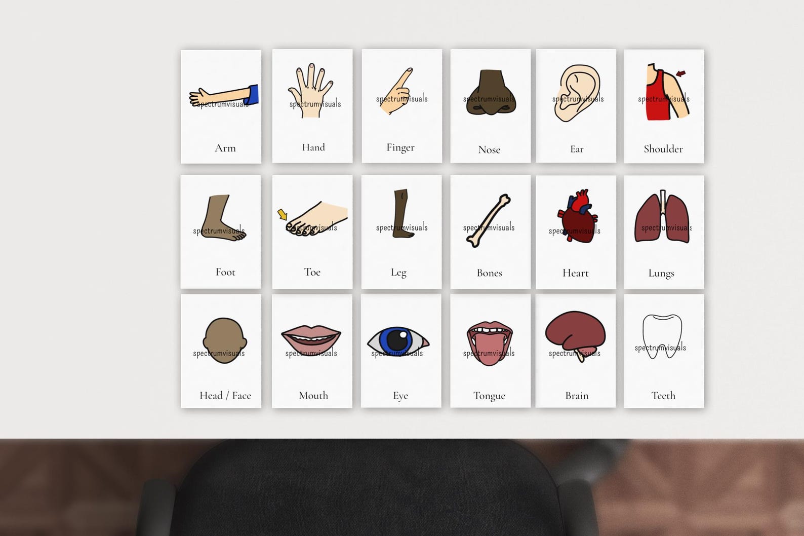 18 Pk Parts of the Body Flashcards Visuals Home Learning Montessori - Etsy