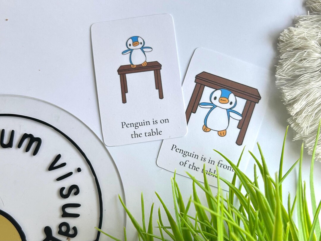 Preposition Visual Aid Cards: Autism, ADHD, Speech Delay (7 Pk) - Etsy
