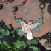 Hummingbird in Flight Necklace--ooak - Etsy