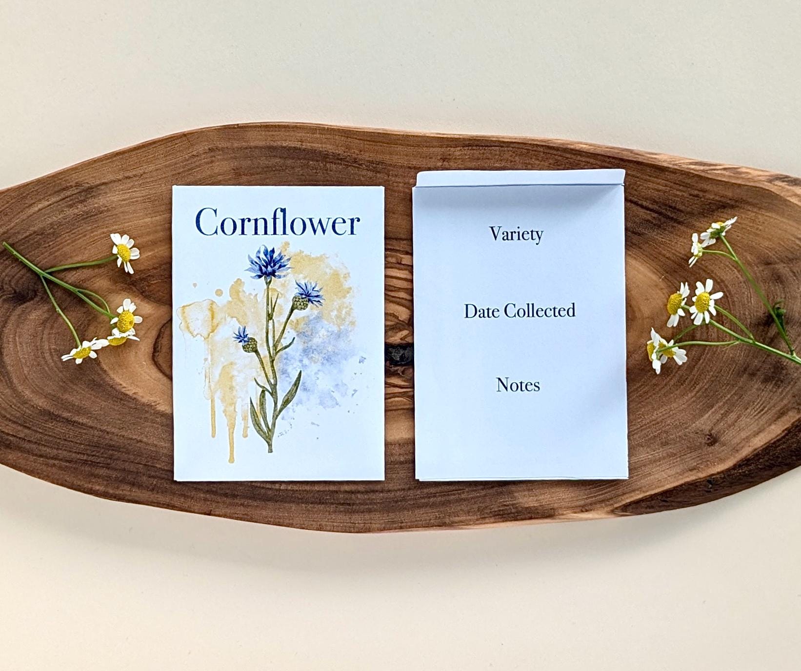 Printable Cornflower Seed Packet Template - Watercolour - Digital ...