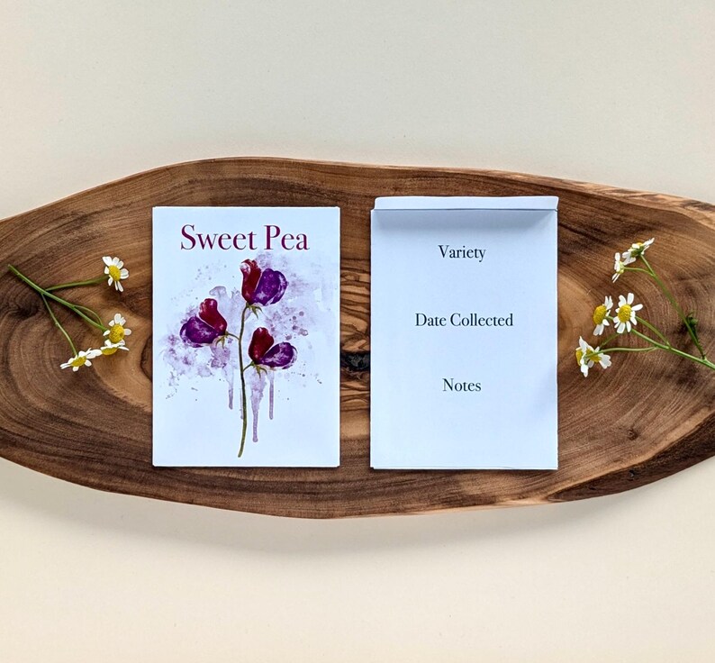 Printable Sweet Pea Flower Seed Packet Template - Watercolour - Digital ...