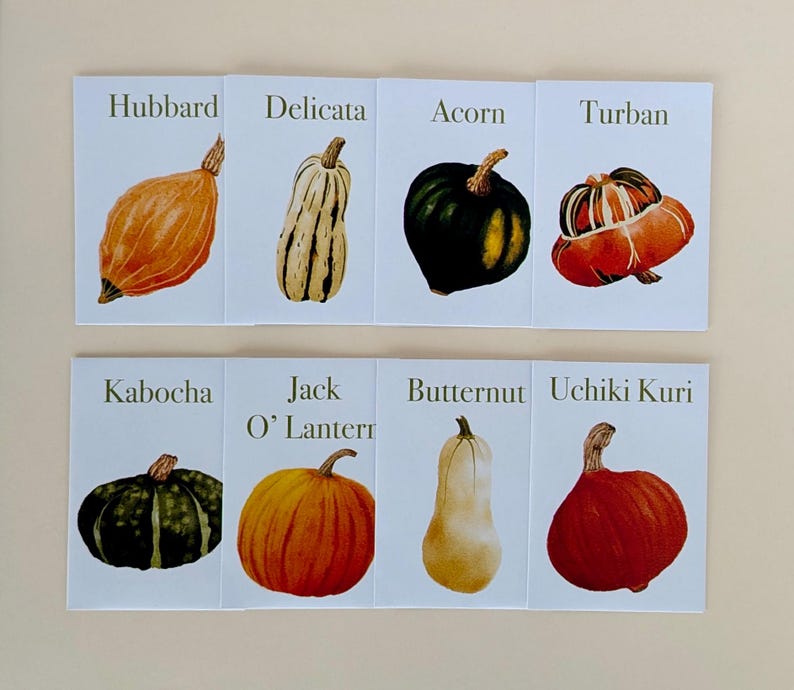 Printable Delicata Squash Vegetable Seed Packet Template Vegetable ...