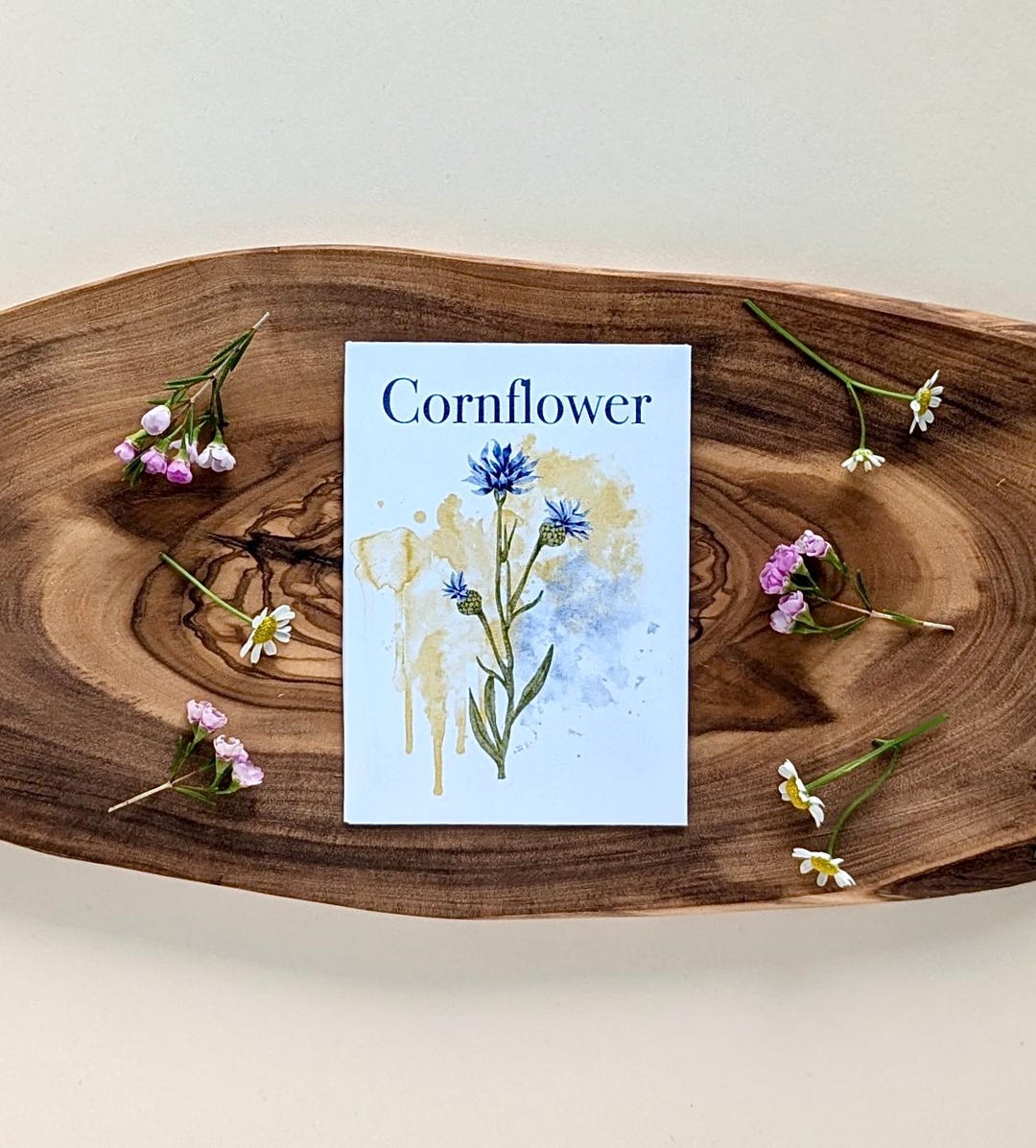 Printable Cornflower Seed Packet Template Watercolour Digital Instant ...