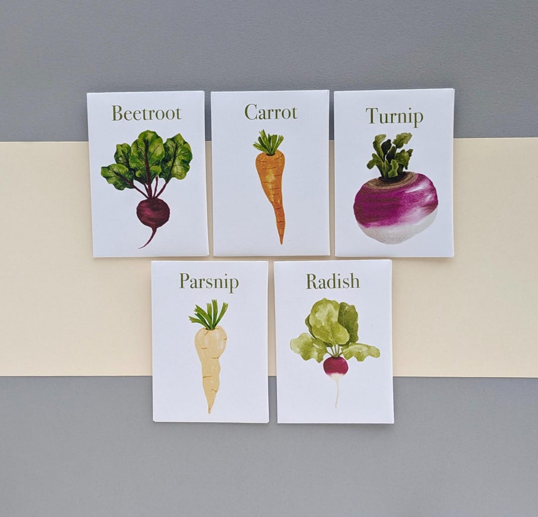 Printable - 5 Root Vegetable - Seed Packet Template Designs ...