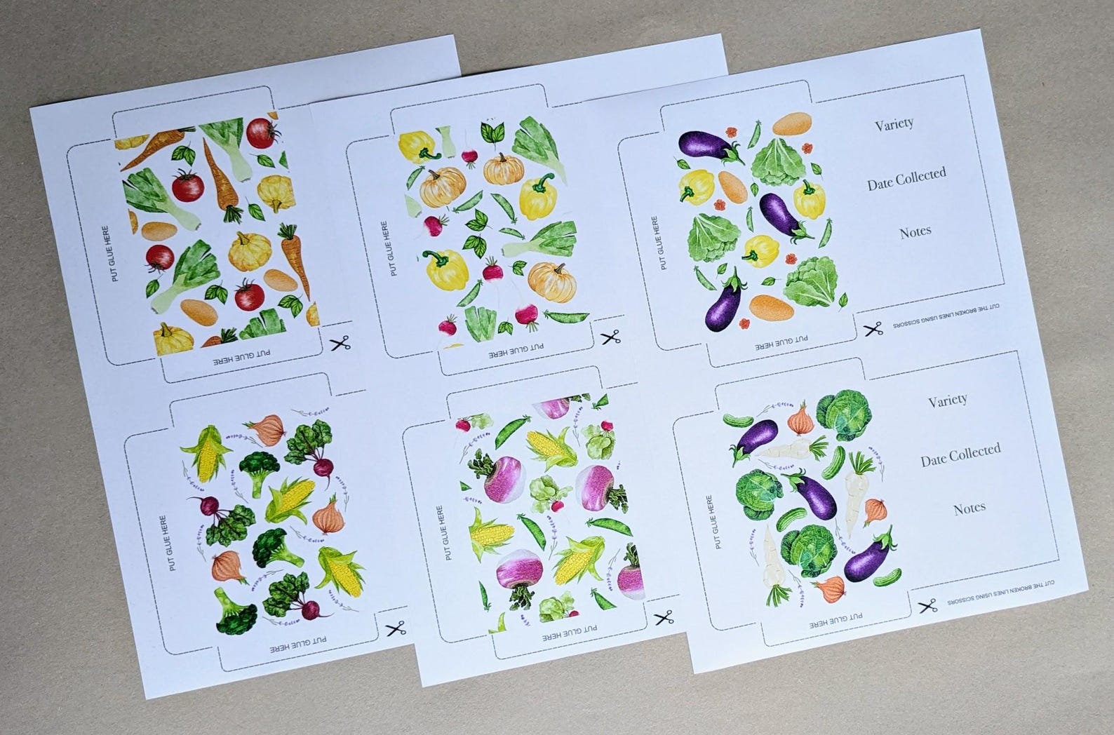 Printable 6 Vegetable Seed Packet Designs -mixed Vegetable- Watercolour ...