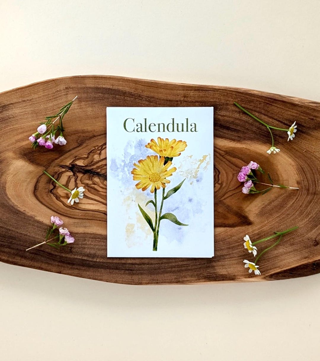 Printable Calendula Flower Seed Packet Template - Watercolour - Digital ...