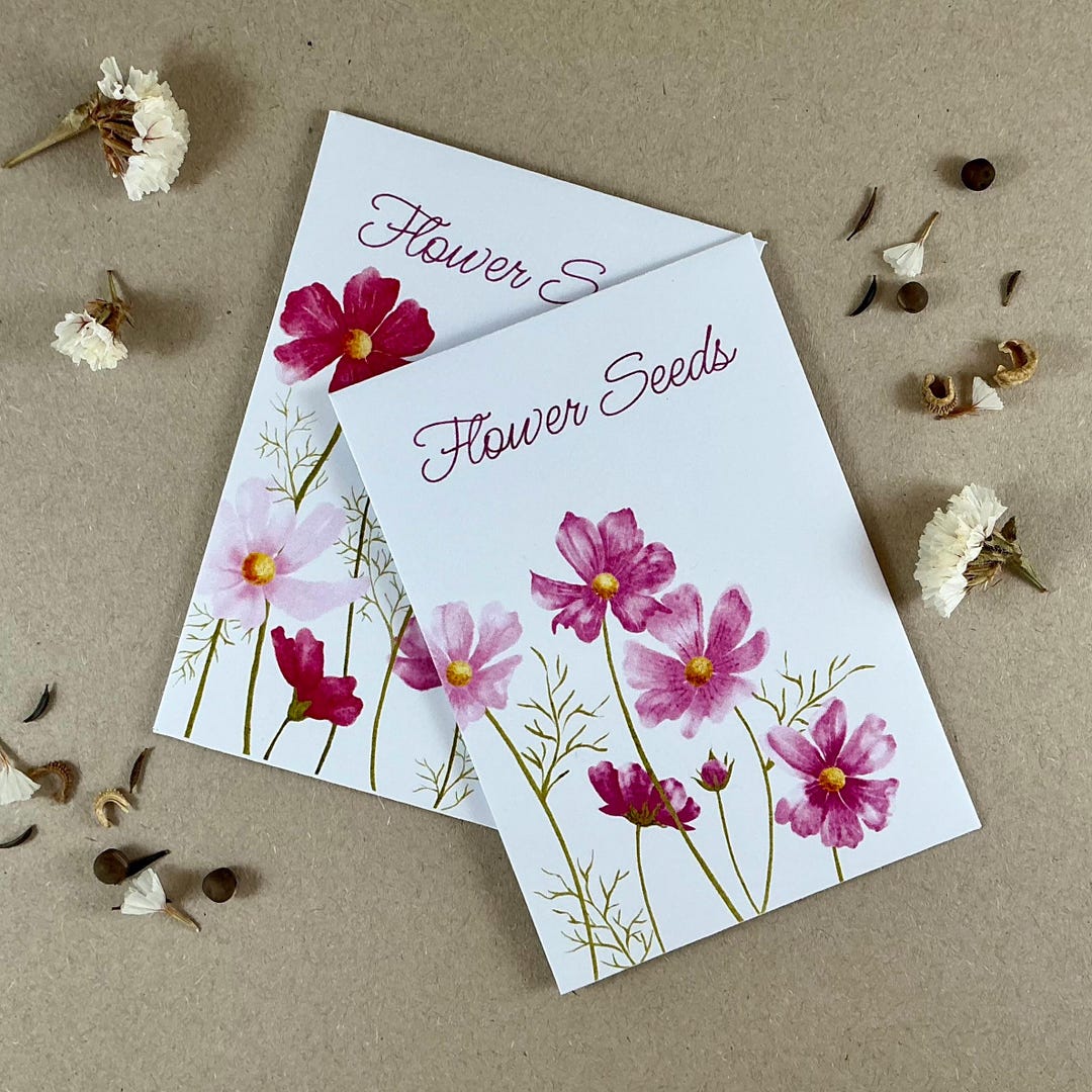 4 Cosmos Flower Printable Template Designs - Decorative Gardening ...