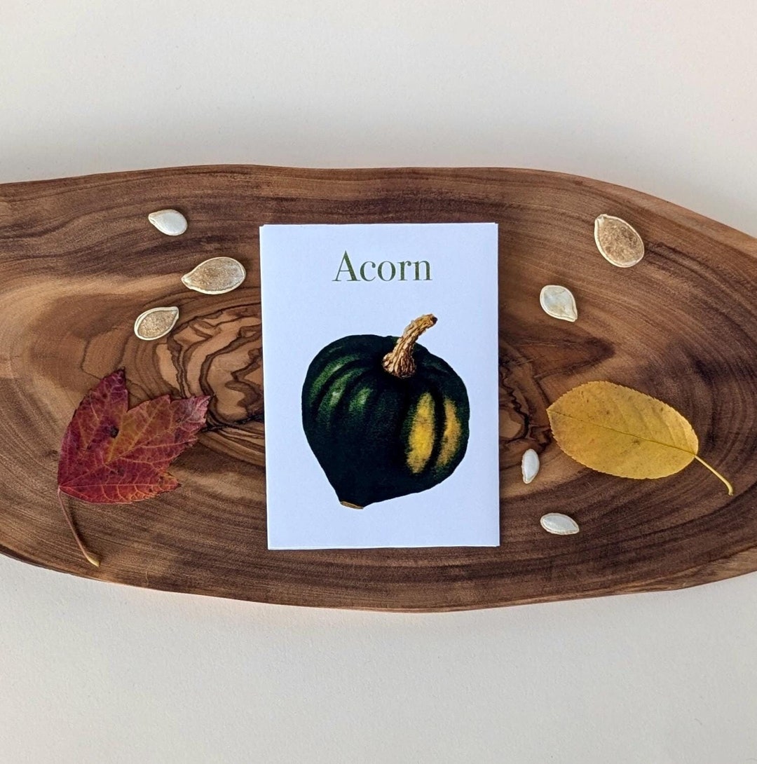 Printable Acorn Squash - Seed Packet Template - Digital Printable ...