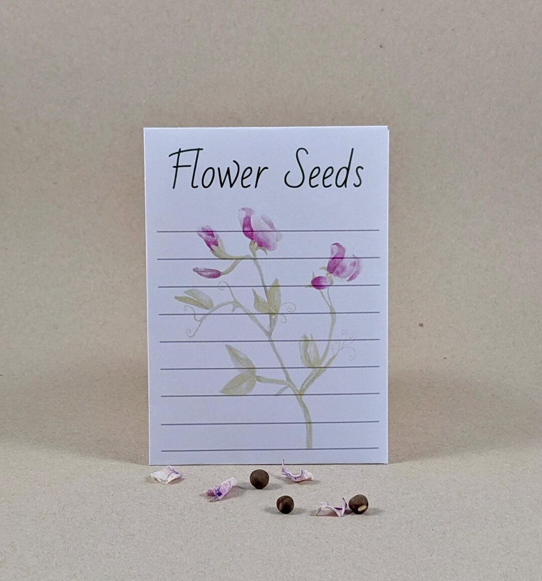 Printable 1 Sweet Pea Flower Design - Seed Packet Templates - Digital ...