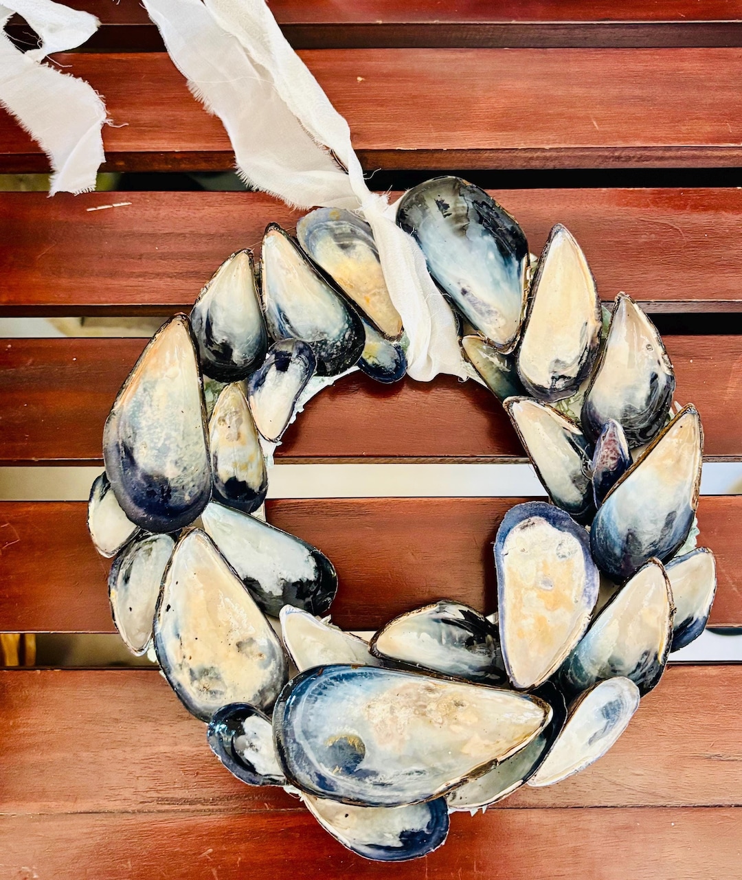 Shell Wreath, Mussel Shells, Grapevine, Front Door, Mantel, Home Decor ...
