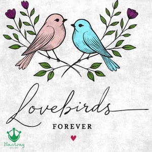 Lovebirds Forever Svg, Valentine Svg, Love, Love Birds, Bird Svg, Xoxo ...