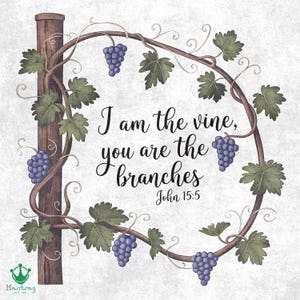Vine and Branches Christian PNG SVG: Bible Verse Design (digital ...
