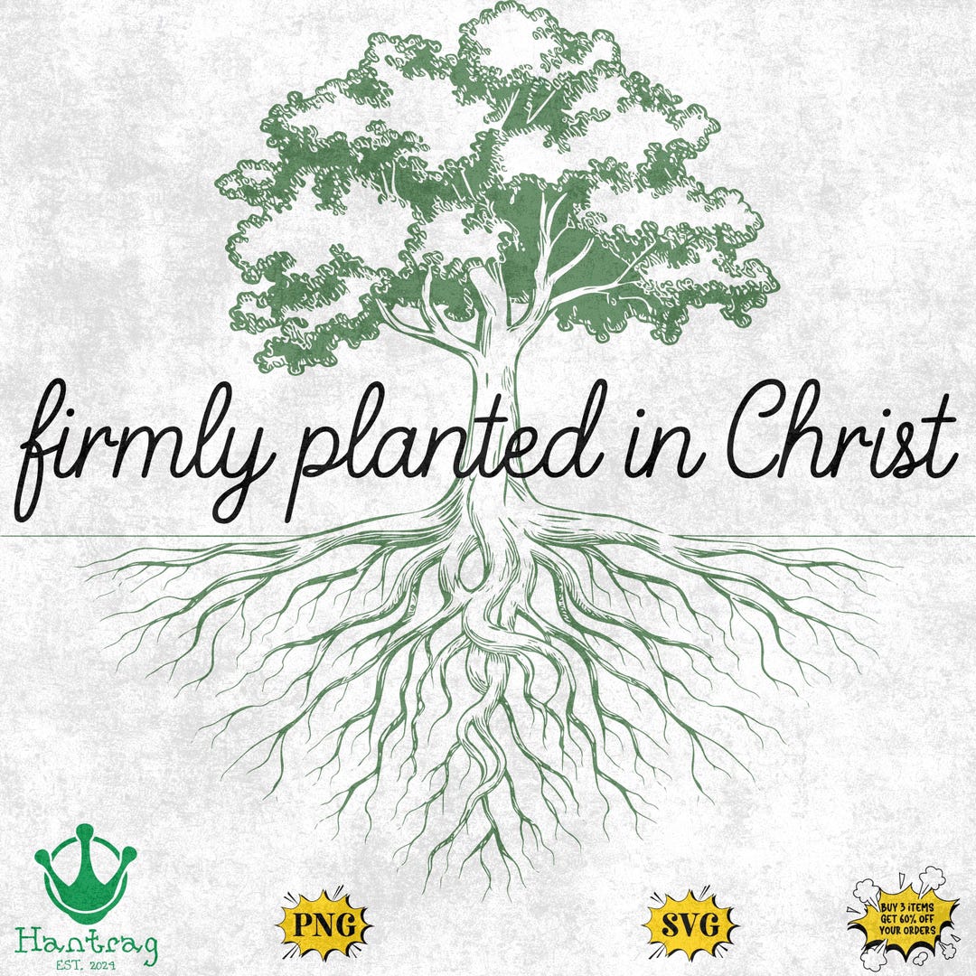 4 Designs, Firmly Planted in Christ Svg, Tree Png, Tree Svg, Christian ...
