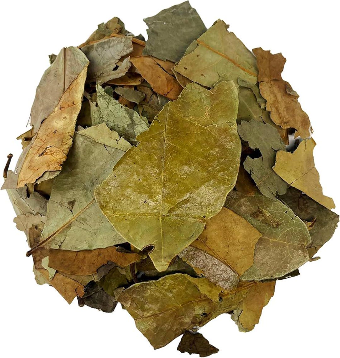 Whole Soursop Leaf 4oz Whole Dried Graviola Soursop Leaves, 100% ...