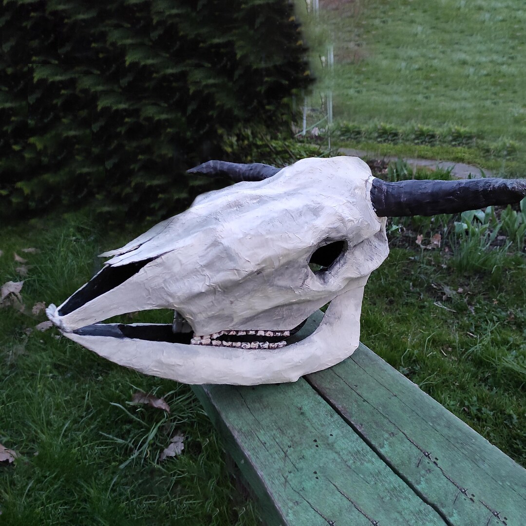 Fake Decorative Cow Skull - Life Sized, Vegan Friendly - Etsy