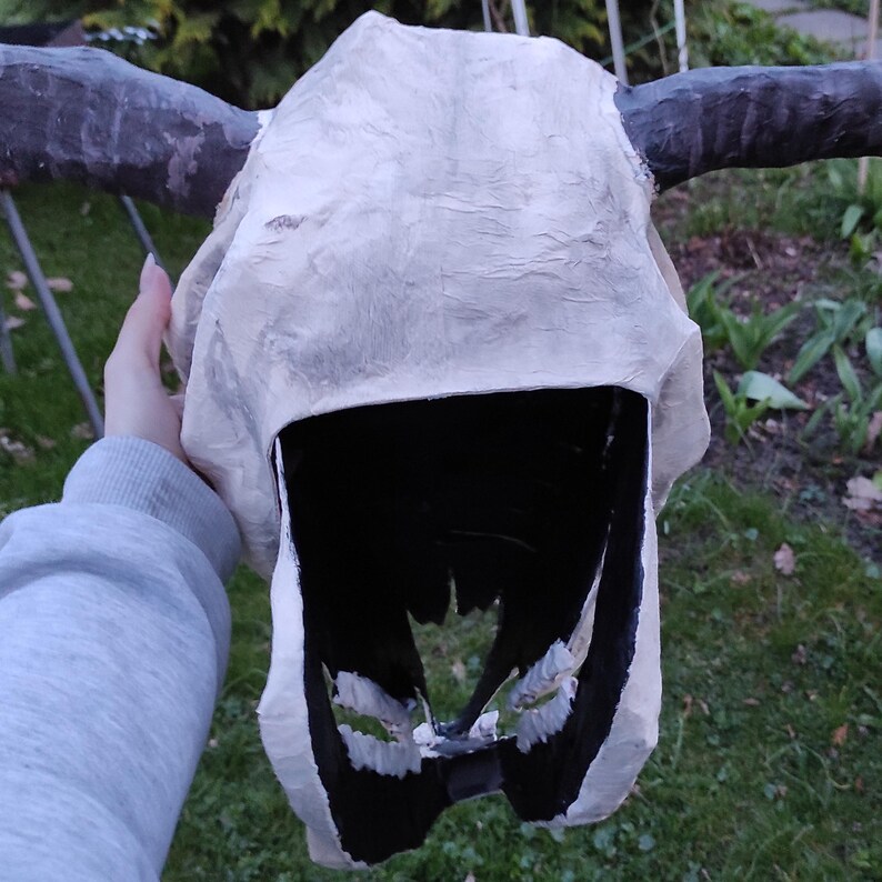 Fake Decorative Cow Skull - Life Sized, Vegan Friendly - Etsy
