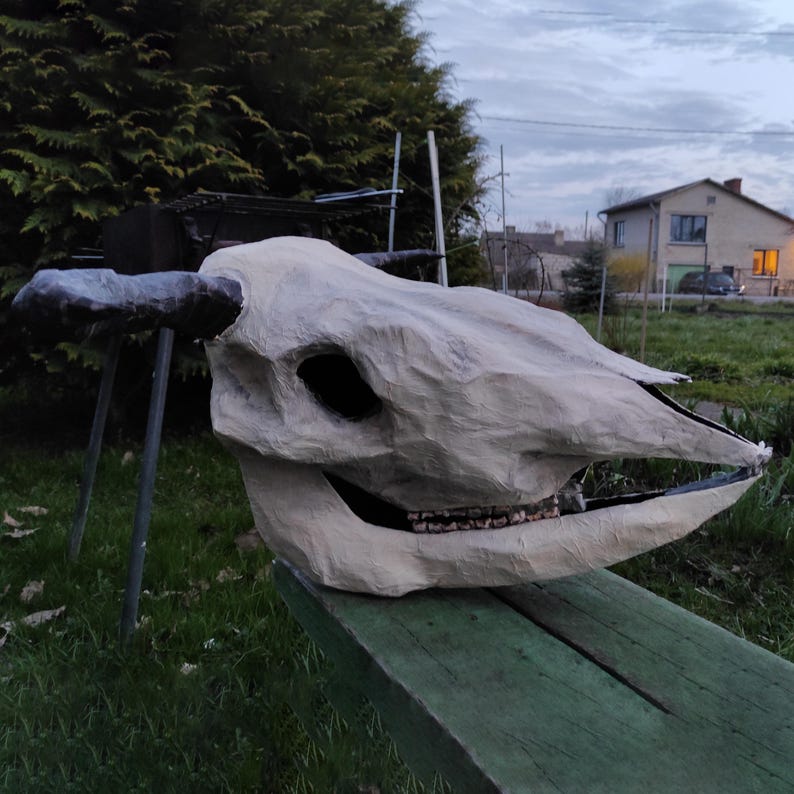 Fake Decorative Cow Skull - Life Sized, Vegan Friendly - Etsy