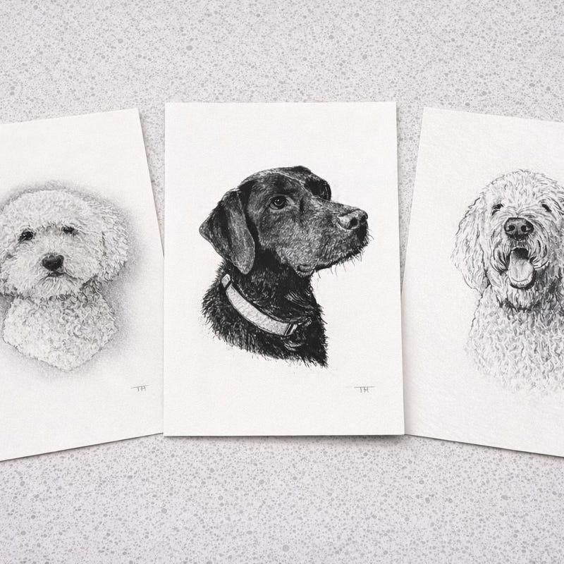 Pet Graphite Portraits - Etsy