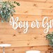 Baby Shower Neon Sign, Gender Reveal Sign, Boy or Girl Neon Light - Etsy