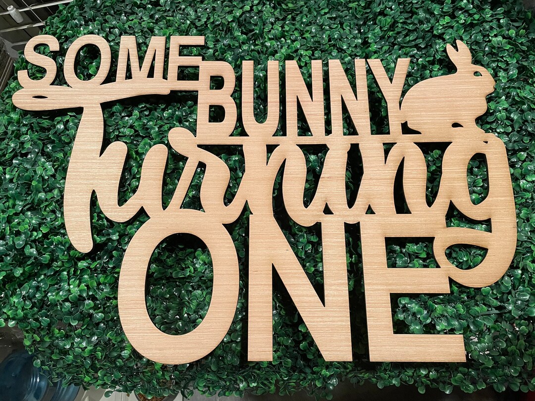 Some Bunny is Turning One Sign, One Year Old Birthday, First Birthday ...