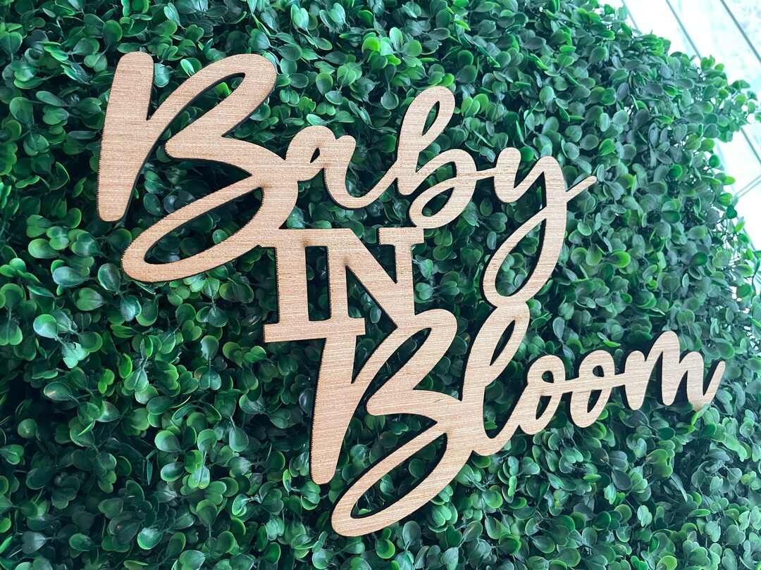 Baby in Bloom Sign, Baby Shower Decoration, Hello Baby Backdrop Wood ...