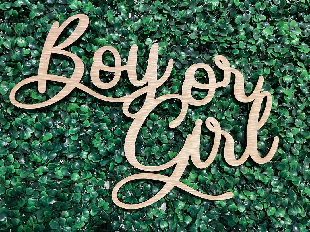 Boy or Girl Sign | Boy or Girl Wooden Sign | Gender Reveal | Cute Baby ...