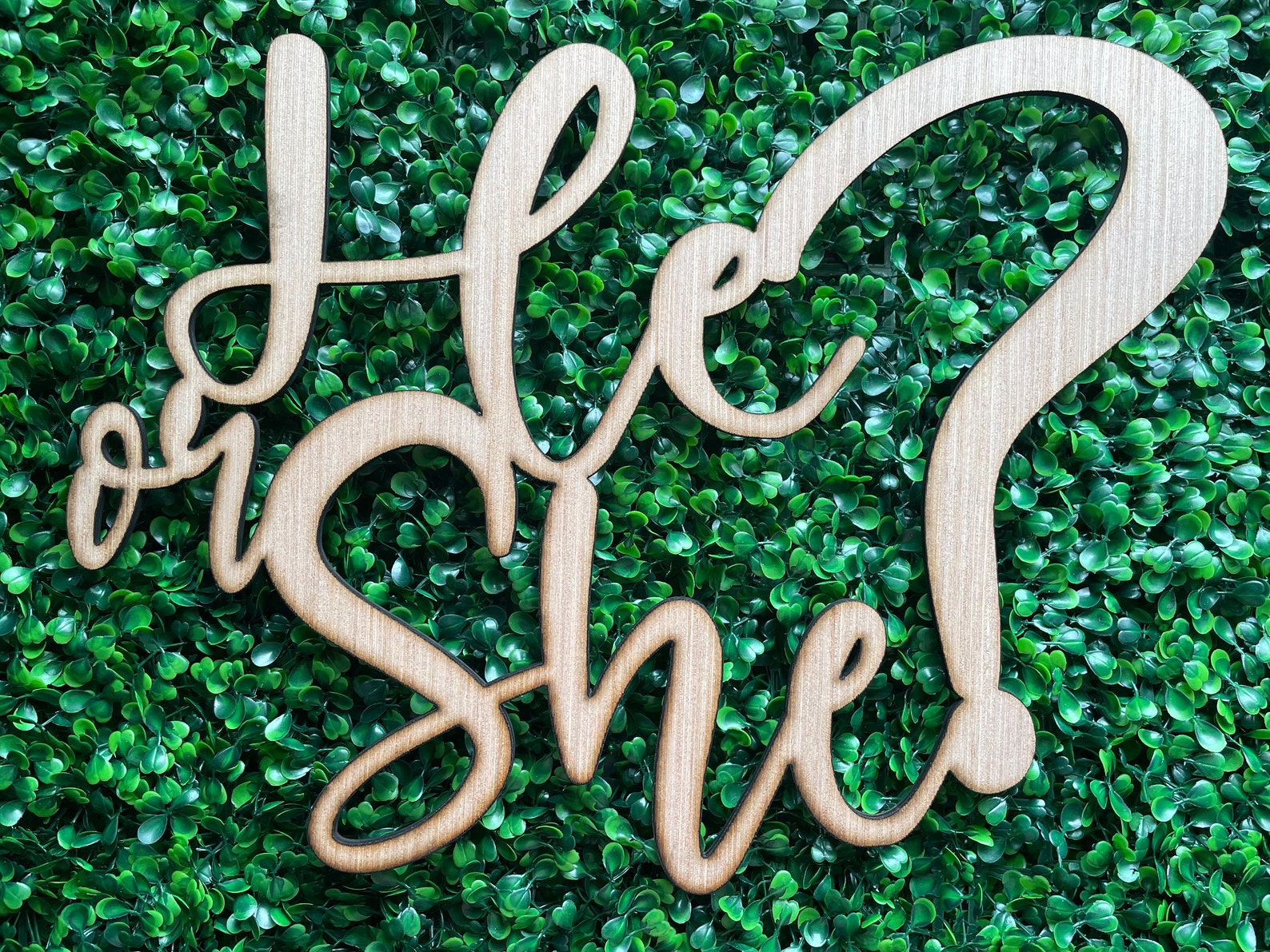 He or She Backdrop Wooden Sign Gender Reveal Decor Baby - Etsy