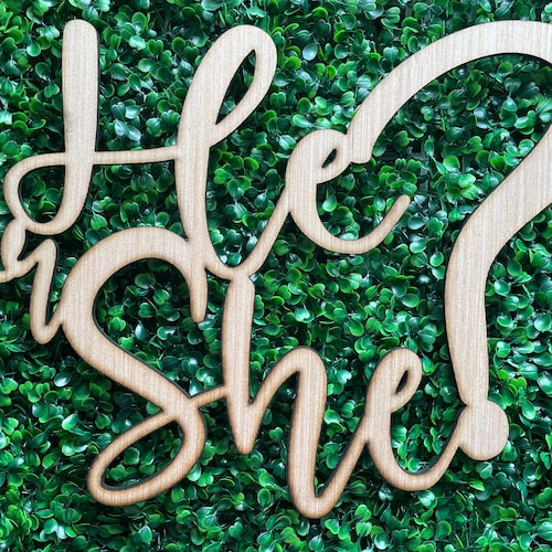 He or She Backdrop Wooden Sign Gender Reveal Decor Baby - Etsy