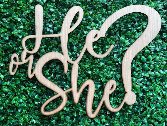 He or She Backdrop Wooden Sign Gender Reveal Decor Baby - Etsy