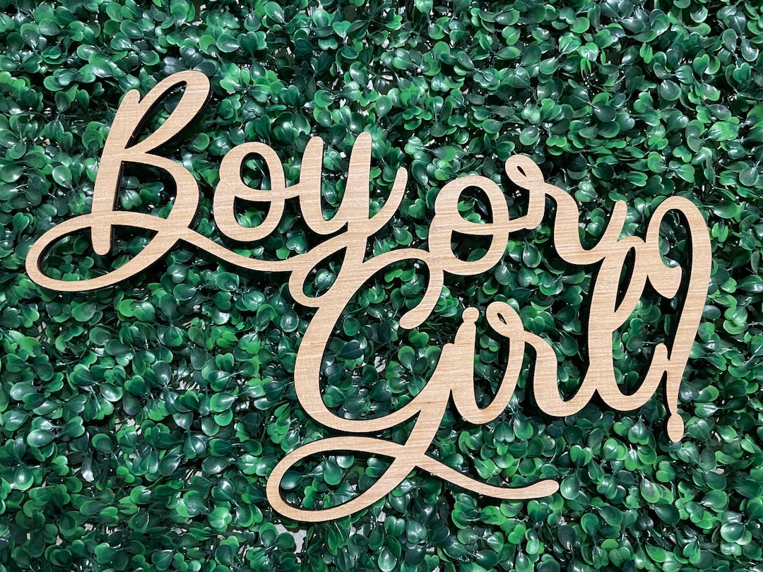 Boy or Girl Sign? | Boy or Girl Wooden Sign | Gender Reveal | Cute Baby ...
