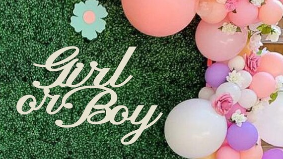 Girl or Boy Sign Baby Reveal Baby Wooden Sign Rustic Baby - Etsy