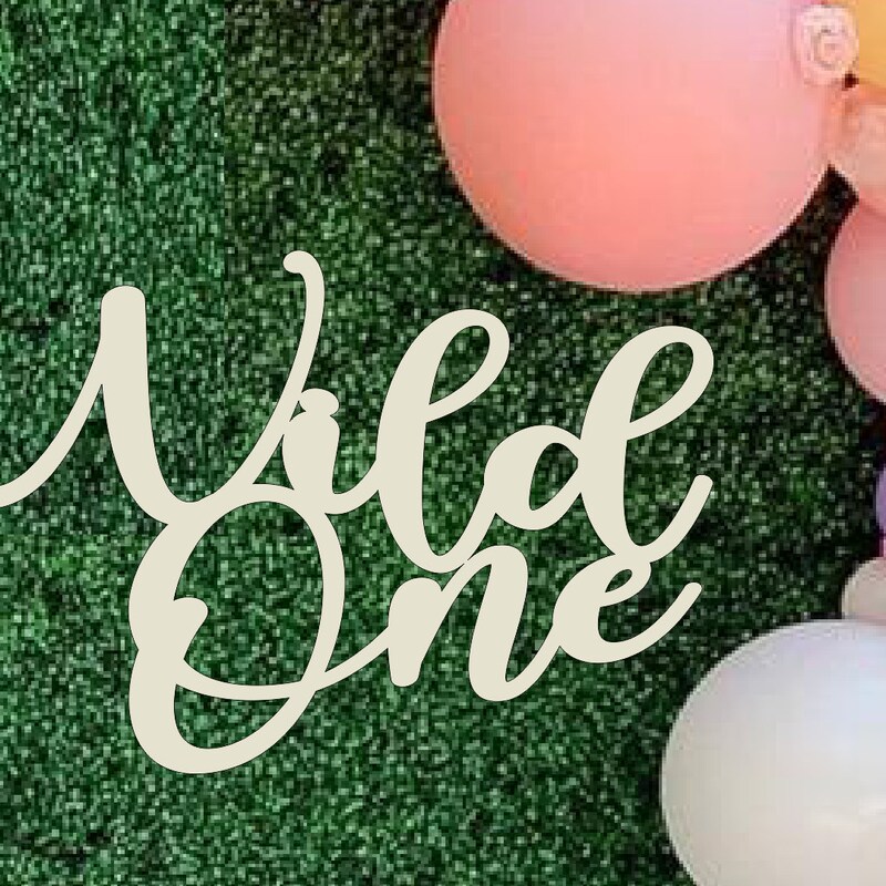 Wild One Backdrop - Etsy