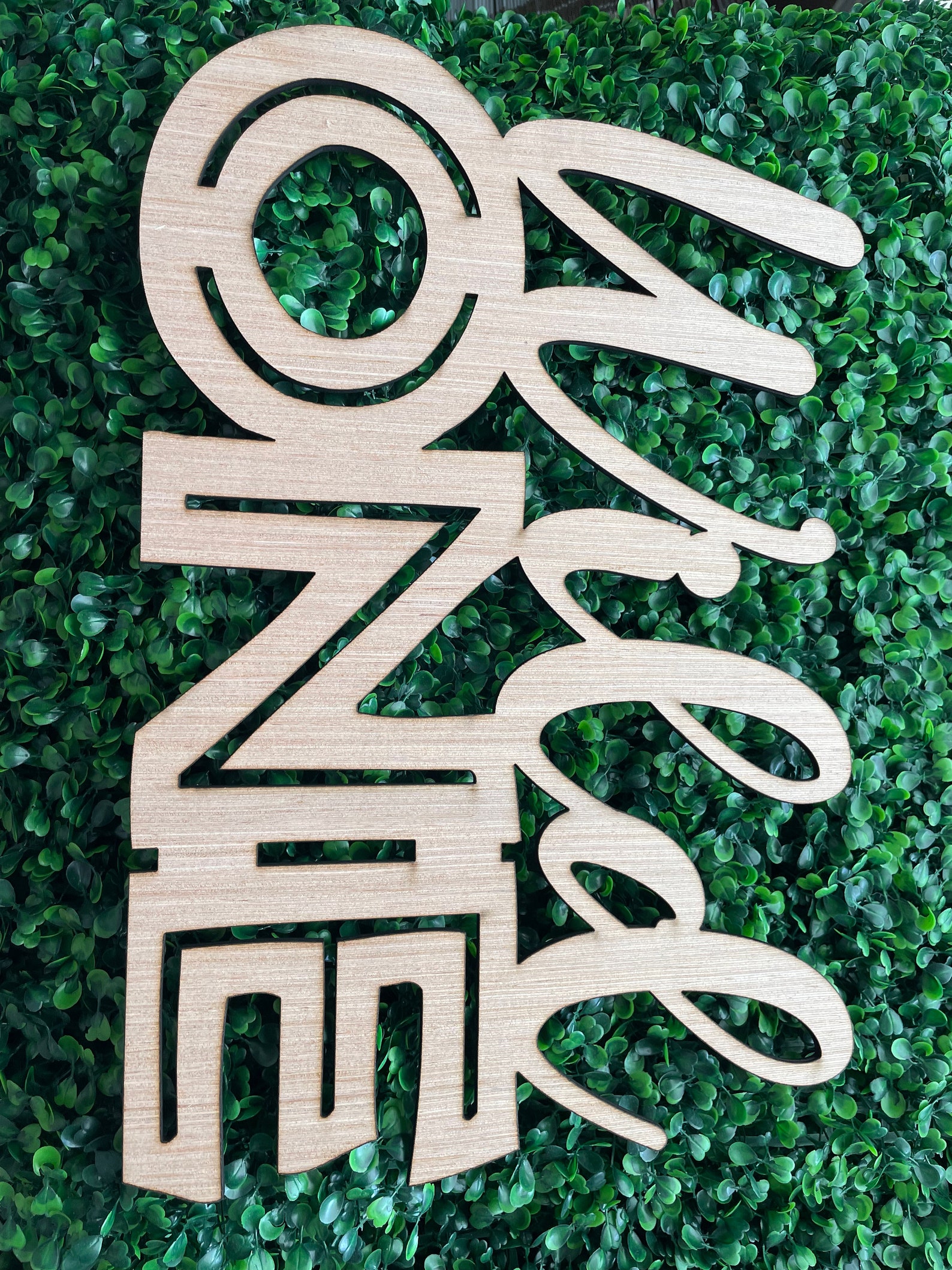 Wild One Sign Party Backdrop Sign Boy First Anniversary - Etsy