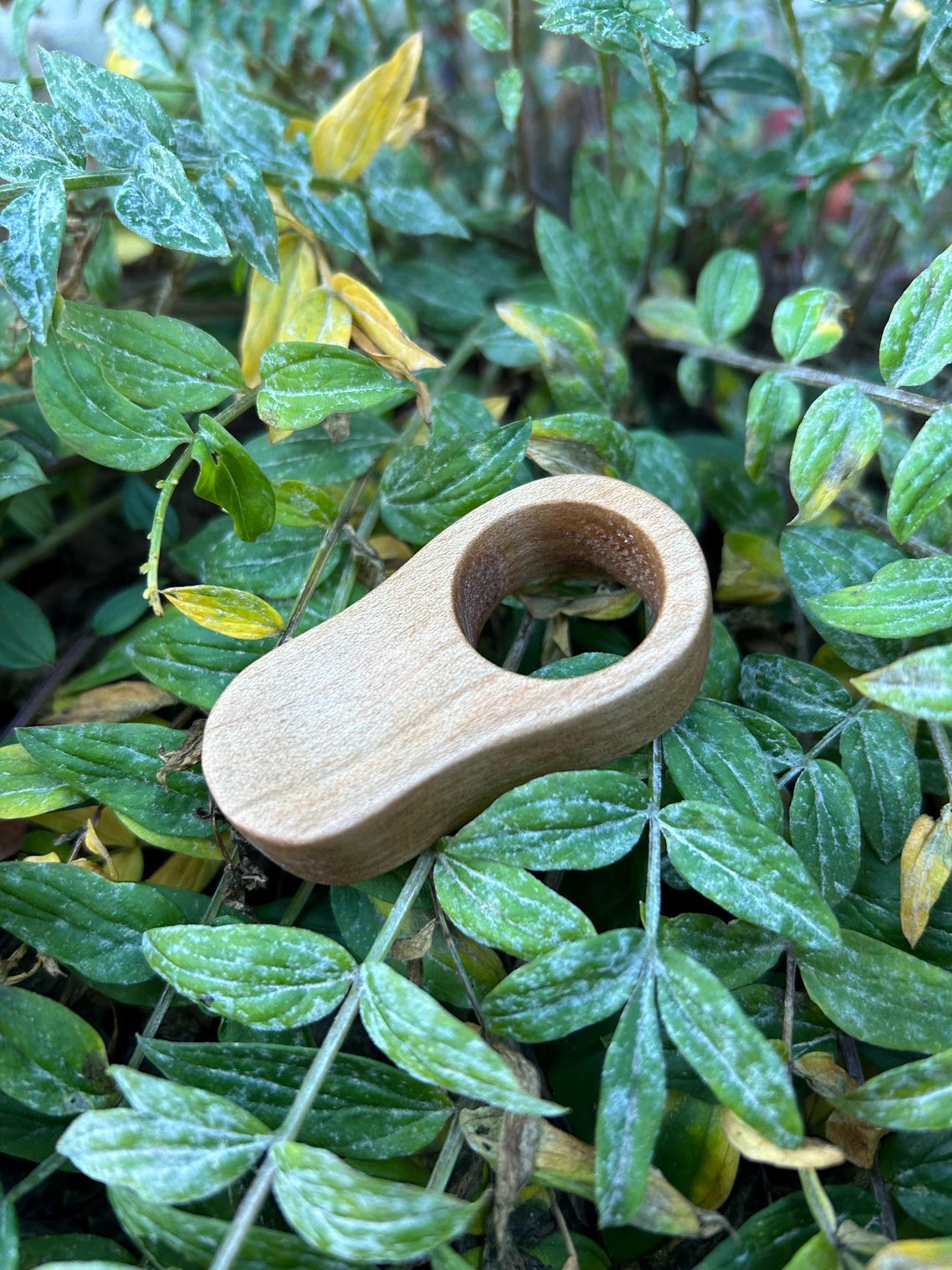 Ring & Divot Fidget | Quiet Wood Fidget - Etsy