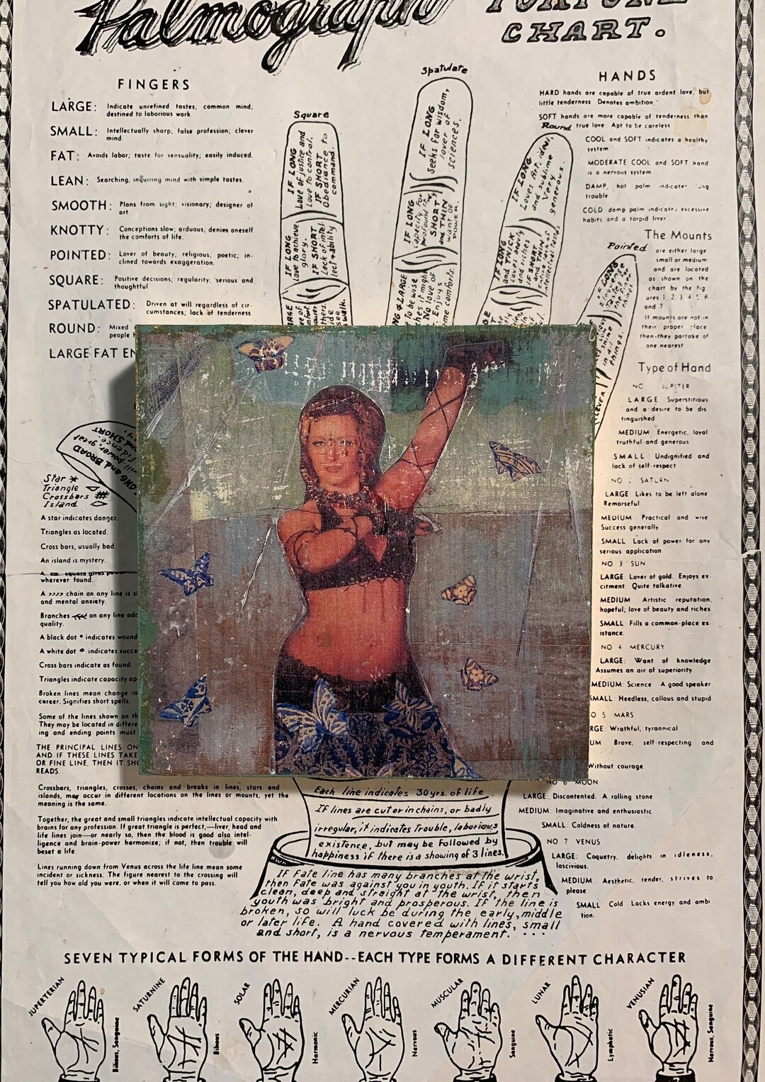 Butterfly, Alchemy, Luna Moth, Circus, Tent, Night Sky, Side Show ...