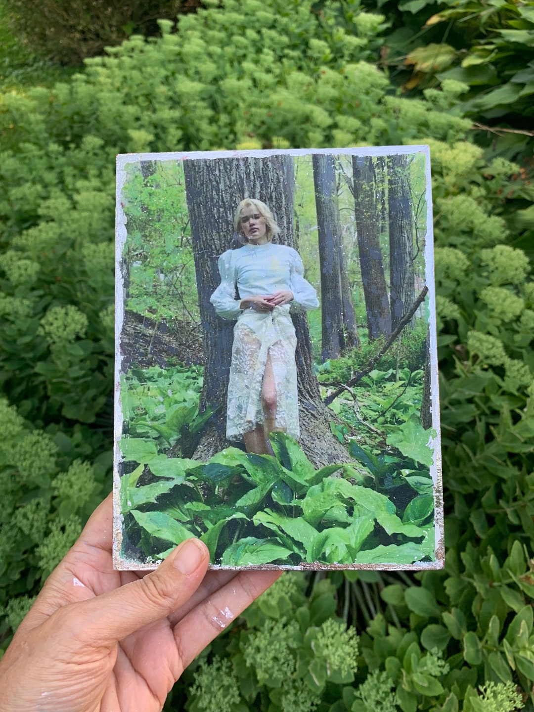 Forest, Wood Nymph, Woman, Portrait, White, Dress, Original, 6 X 8 ...