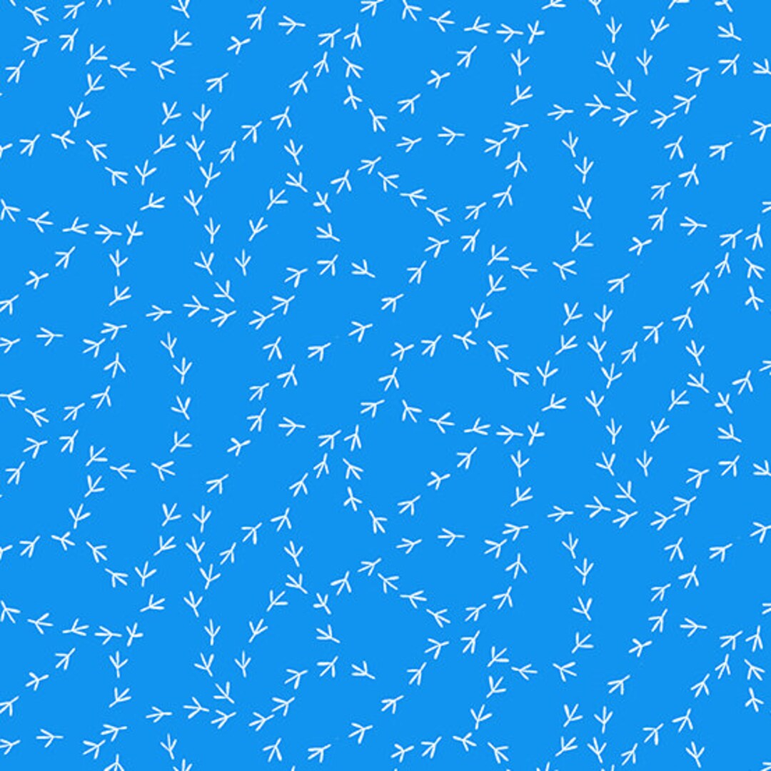 Blue Chicken Tracks From the Chicken Tracks Collection by Kim Schaefer ...