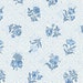 Powder Blue, Pattern: Botanicals, From the Porcelain Collection From ...