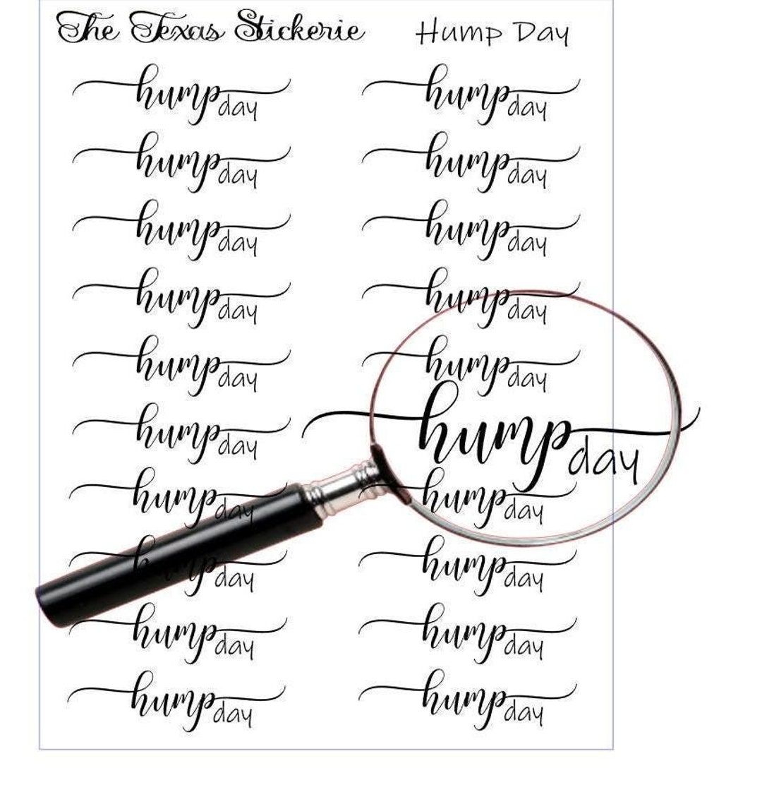 Hump Day Stickers: Foil Options, Planner Stickers - Etsy