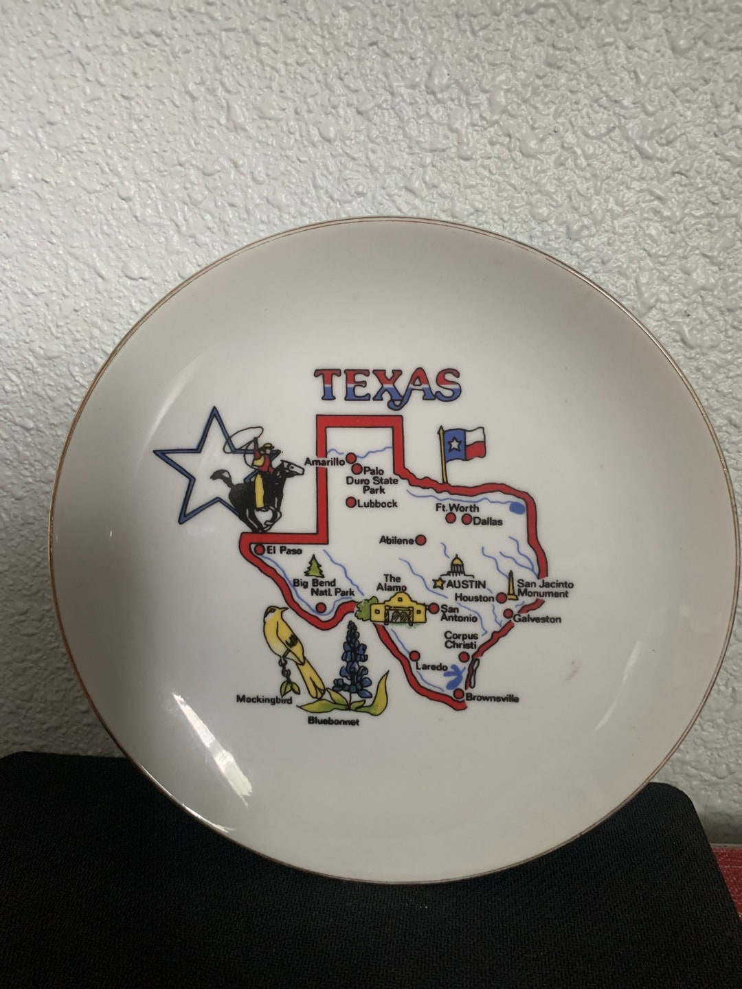 Texas Souvenir Plate - Etsy