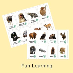 Printable Animals of the Continents Flashcards for Kids, Montessori ...