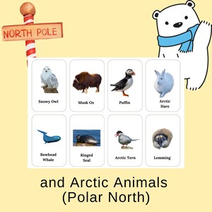 Printable Animals of the Continents Flashcards for Kids, Montessori ...