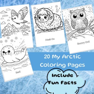 Arctic Animal Coloring Pages With Fun Facts - Printable Activity Book ...