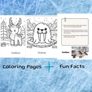 Arctic Animal Coloring Pages With Fun Facts - Printable Activity Book ...