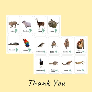 Printable Animals of the Continents Flashcards for Kids, Montessori ...