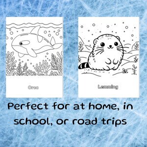 Arctic Animal Coloring Pages With Fun Facts - Printable Activity Book ...