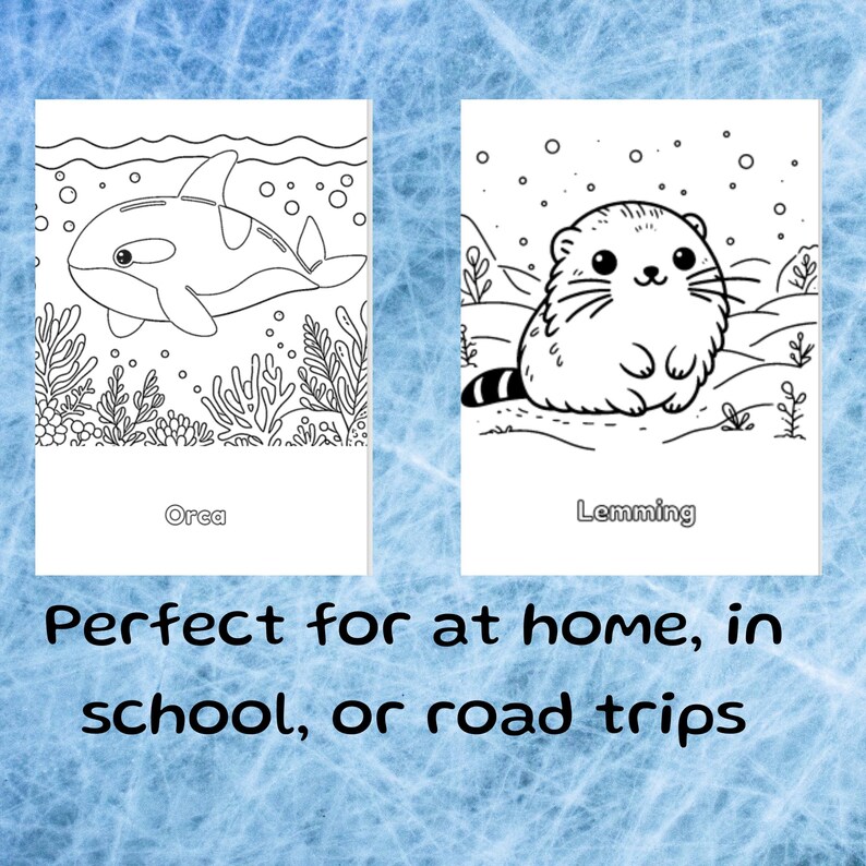 Arctic Animal Coloring Pages With Fun Facts - Printable Activity Book ...