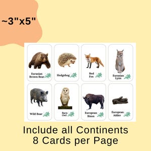 Printable Animals of the Continents Flashcards for Kids, Montessori ...